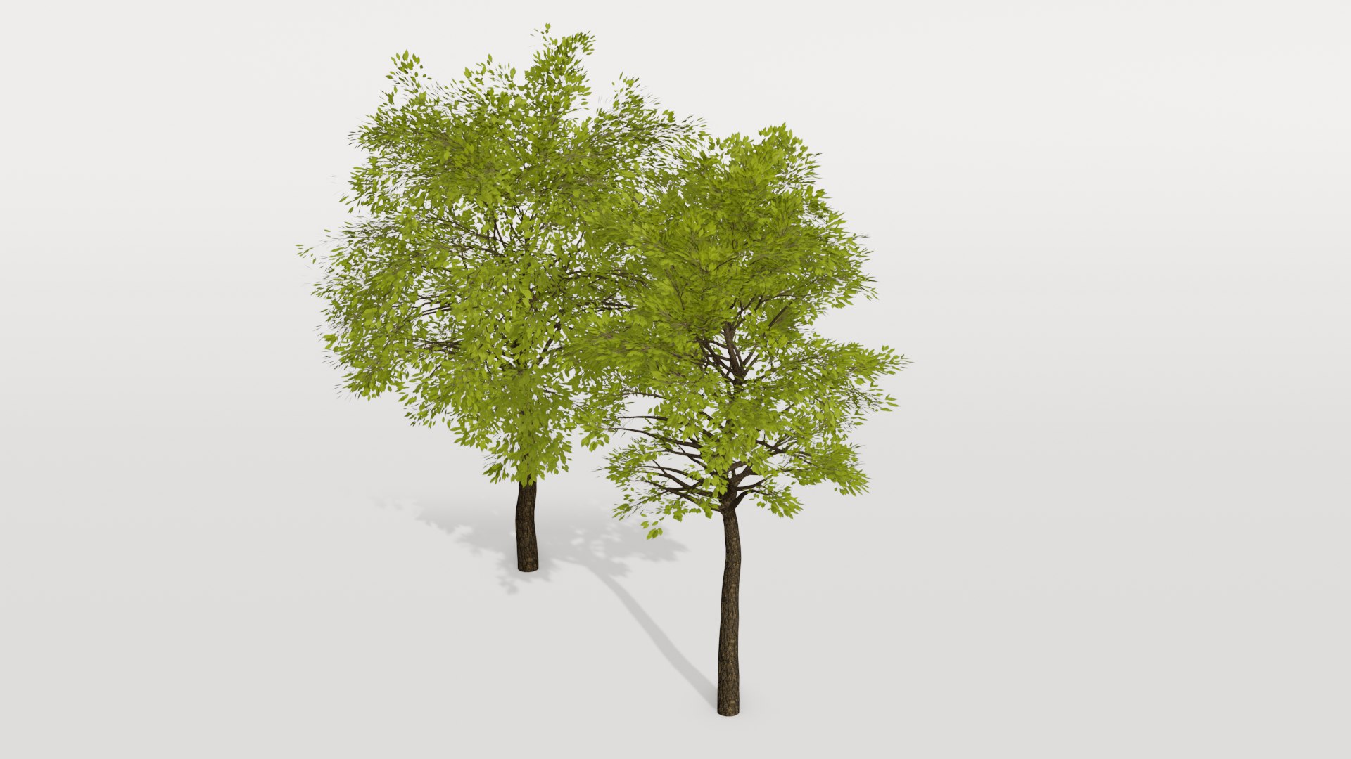 Tree realistic 3D model - TurboSquid 1670491