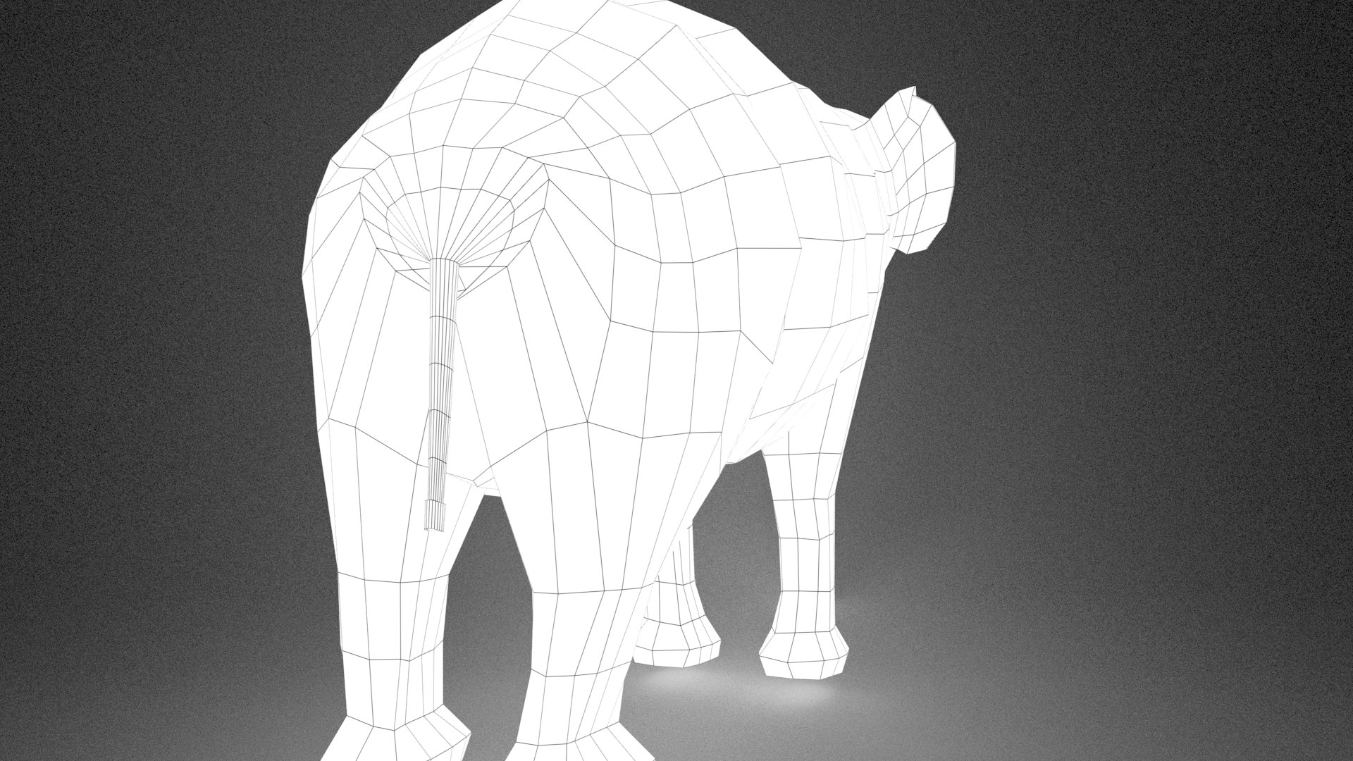 3D elephant skeleton animation - - TurboSquid 1273218