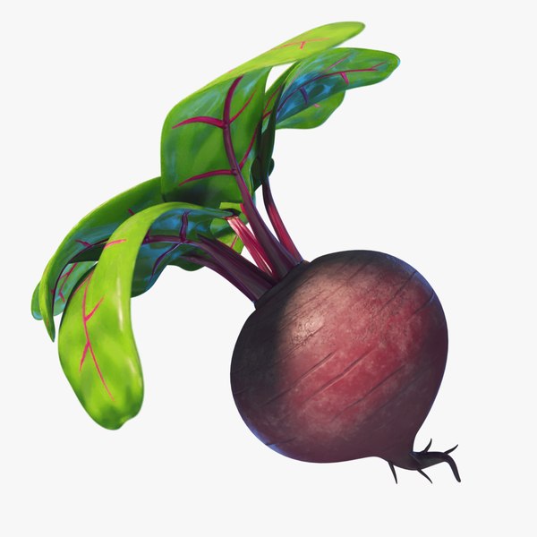 3D Beetroot Models | TurboSquid