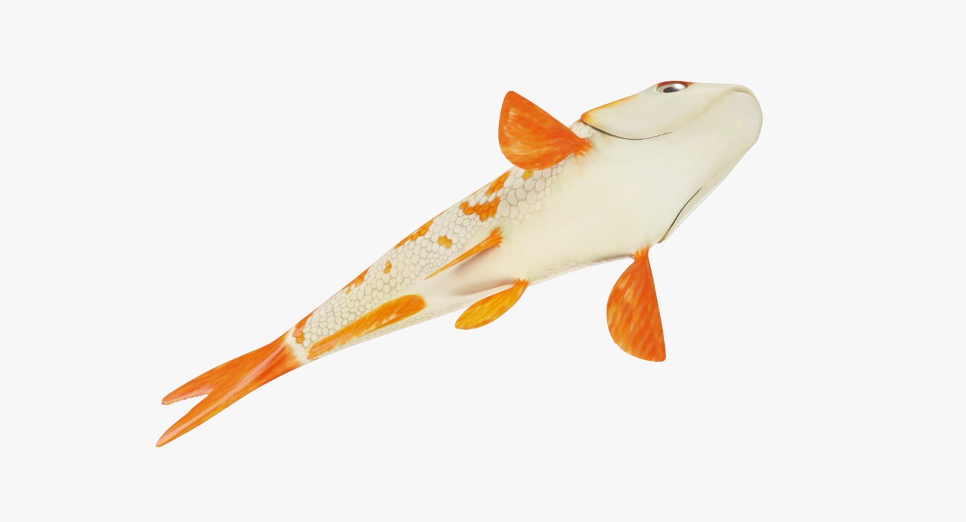 3d Koi Carp Model
