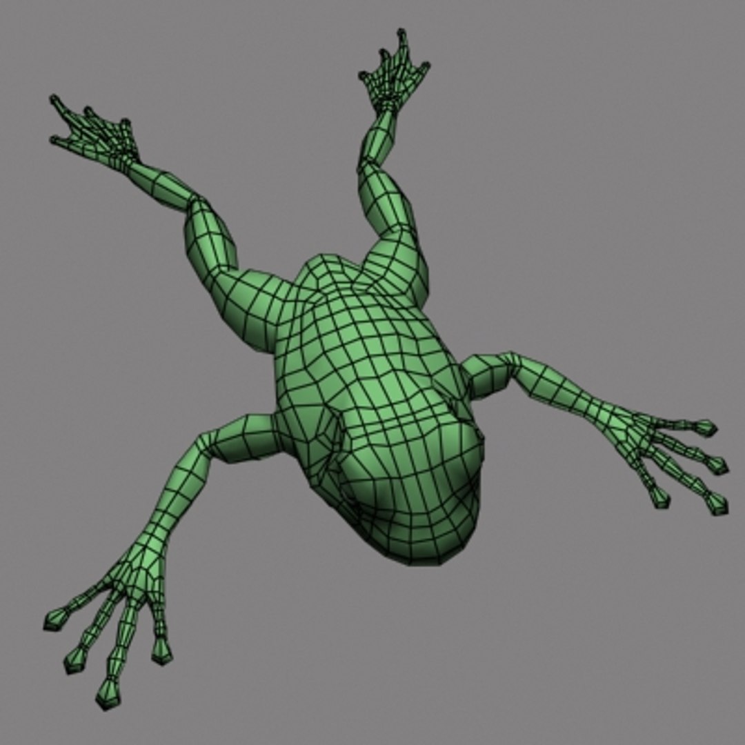 3d Model Frog