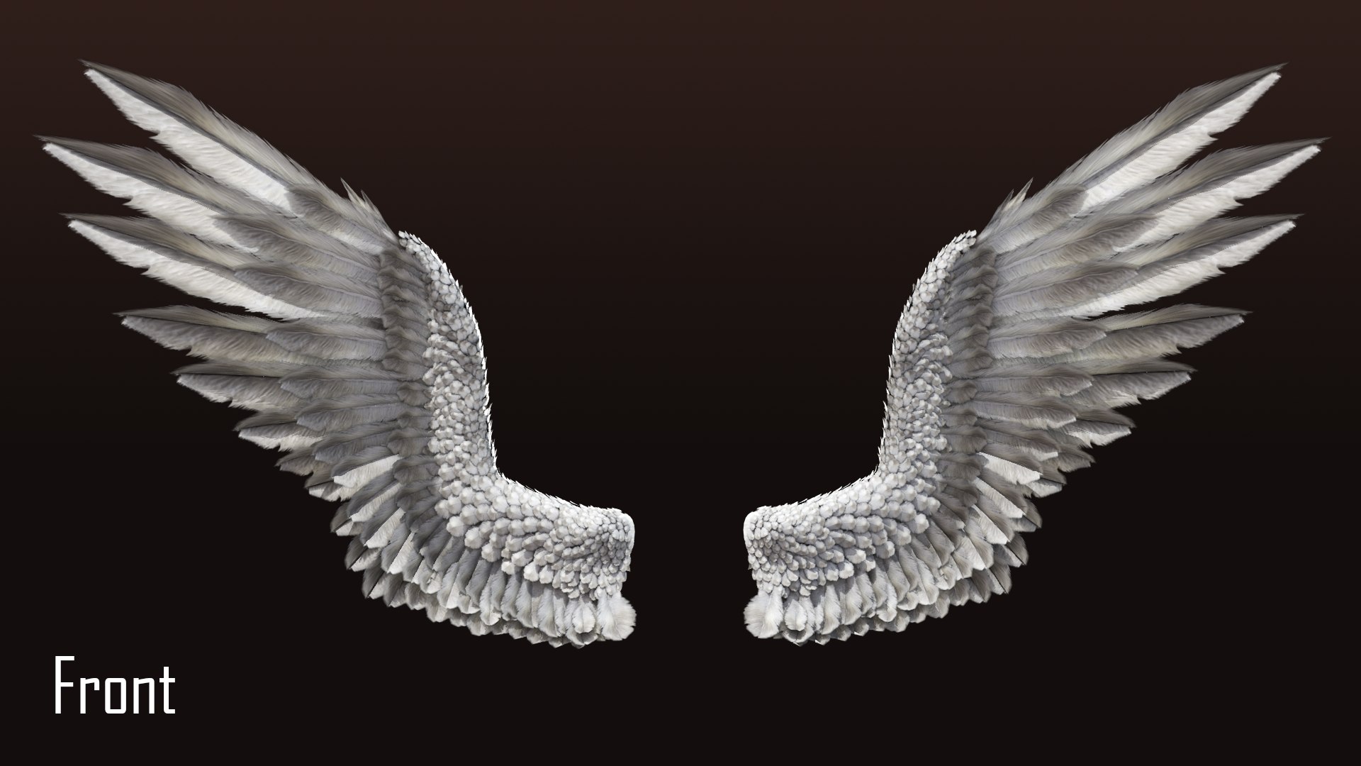 3D Bird Angel Wings Model - TurboSquid 1192727
