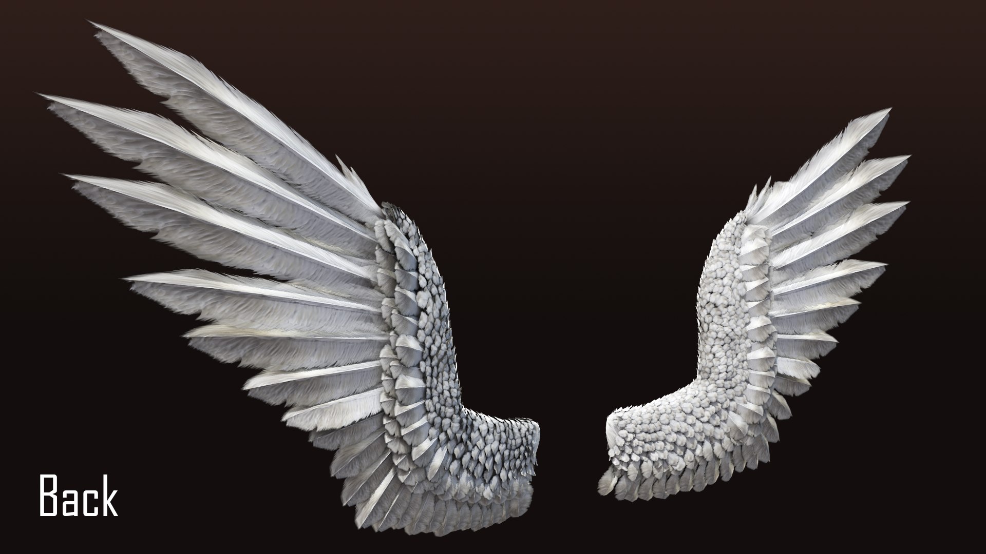 3D Bird Angel Wings Model - TurboSquid 1192727