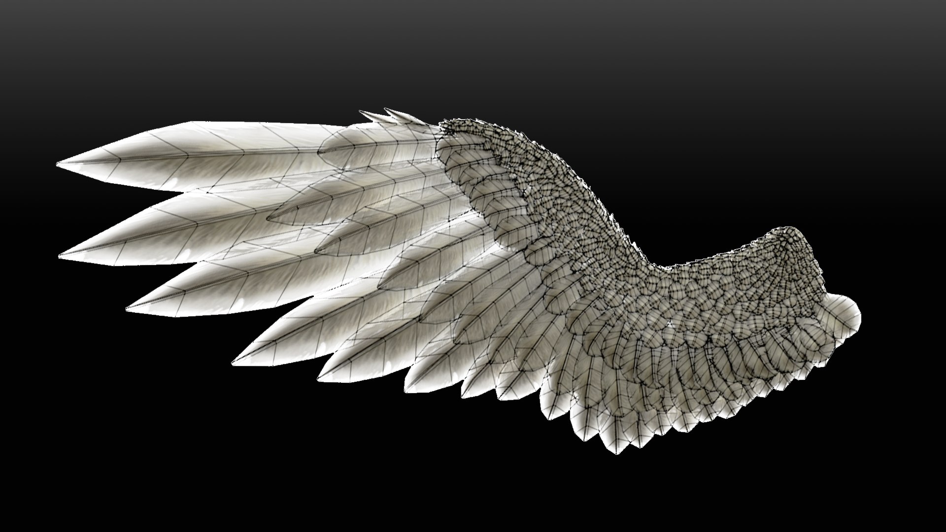 3D Bird Angel Wings Model - TurboSquid 1192727