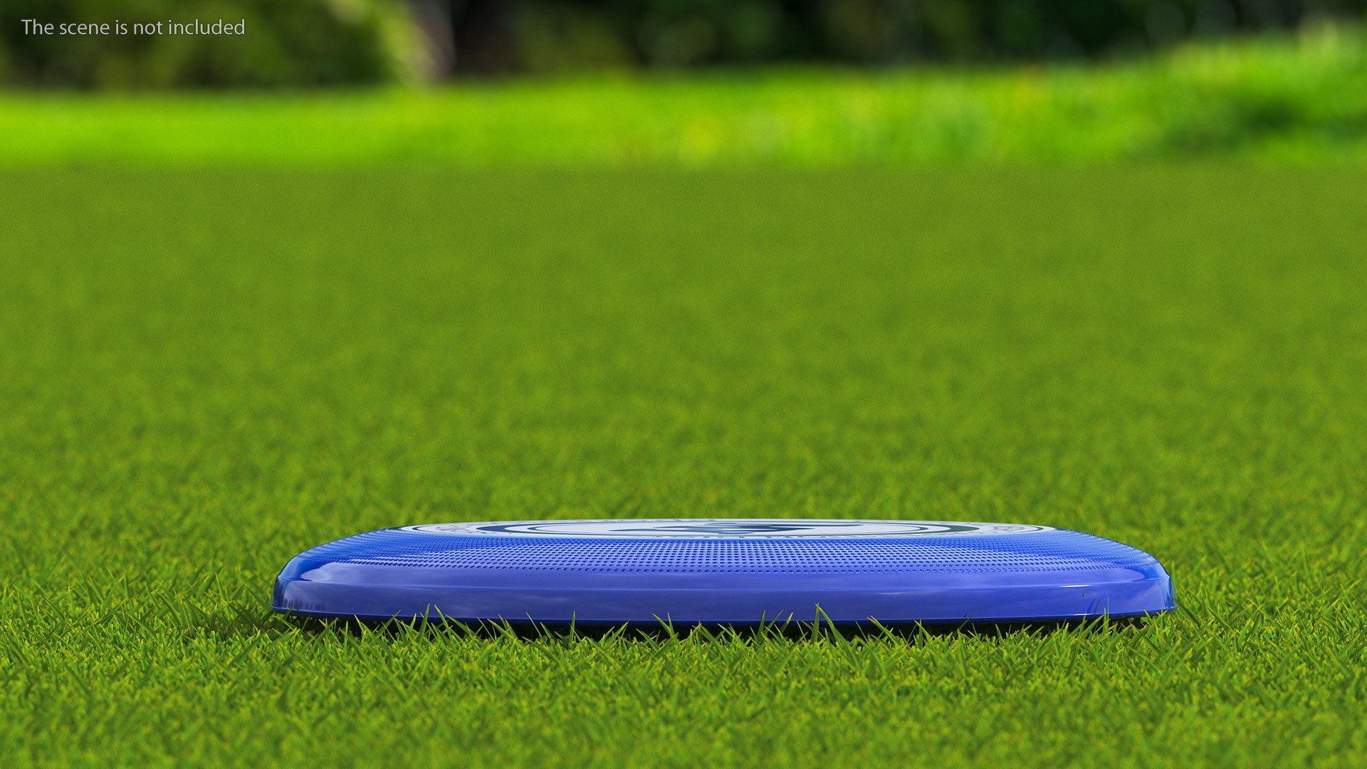 3D Model Professional Frisbee Disc Blue - TurboSquid 2219455