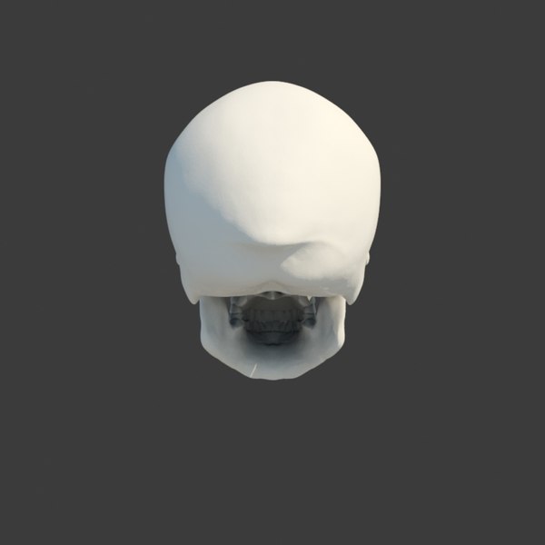 Neanderthal skull 3D - TurboSquid 1343653