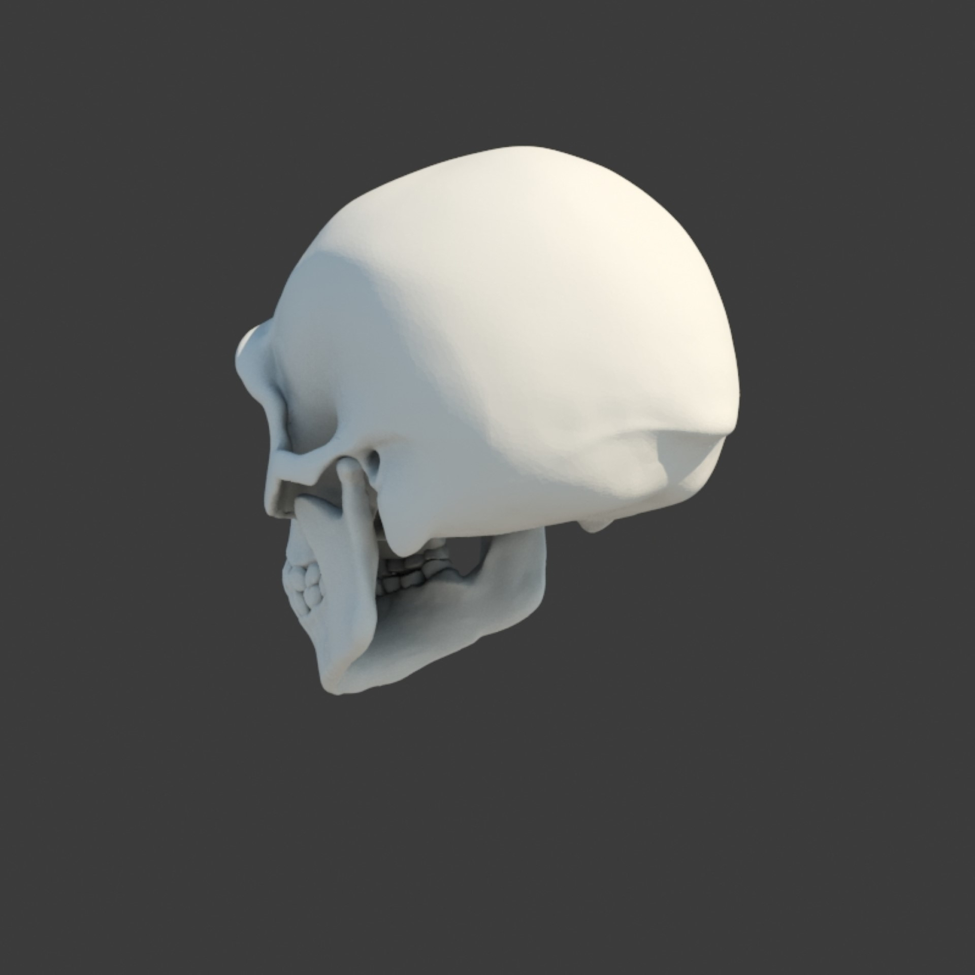 Neanderthal skull 3D - TurboSquid 1343653