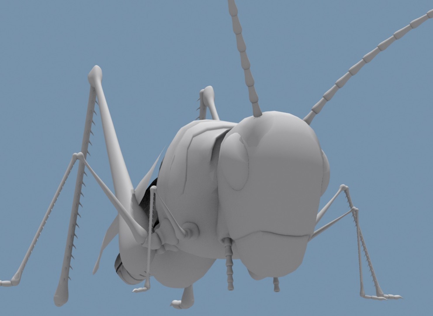 Cricket Model - TurboSquid 1393661
