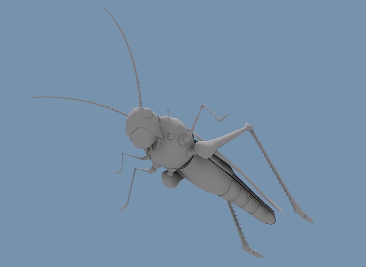 Cricket Model - TurboSquid 1393661