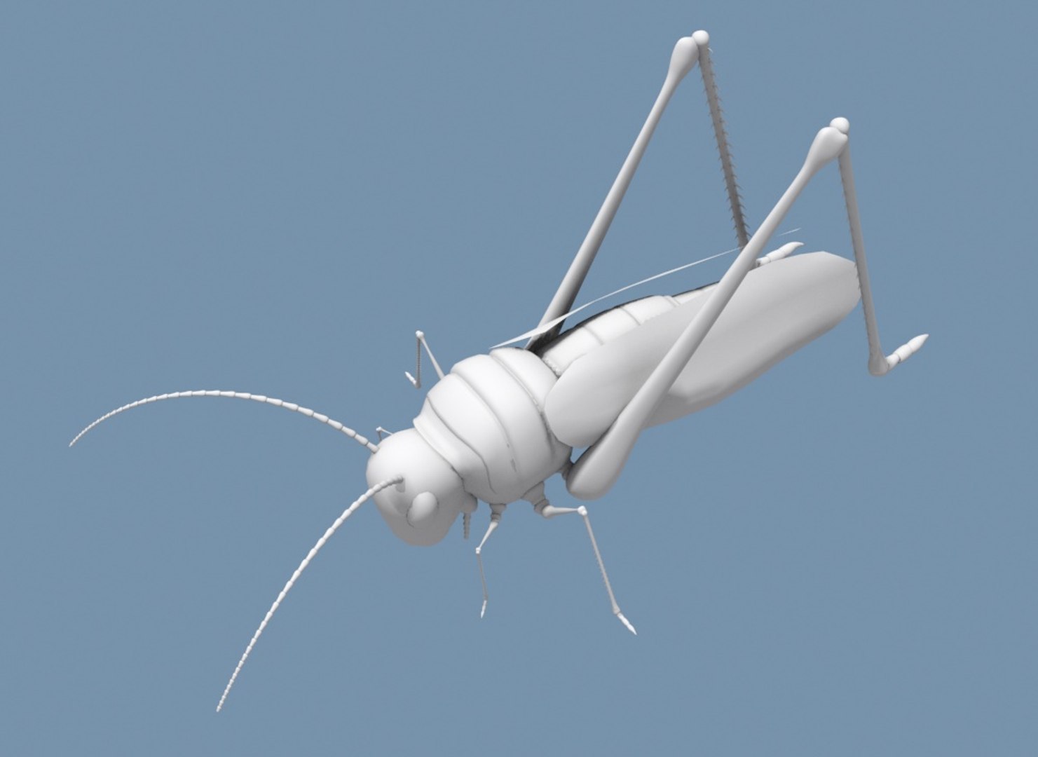 Cricket Model - TurboSquid 1393661