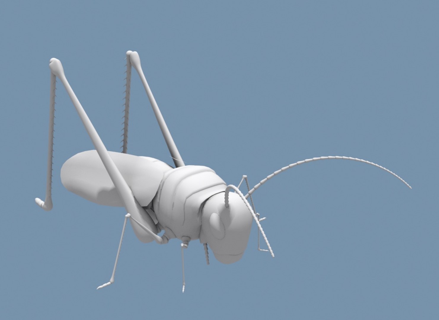 Cricket Model - TurboSquid 1393661
