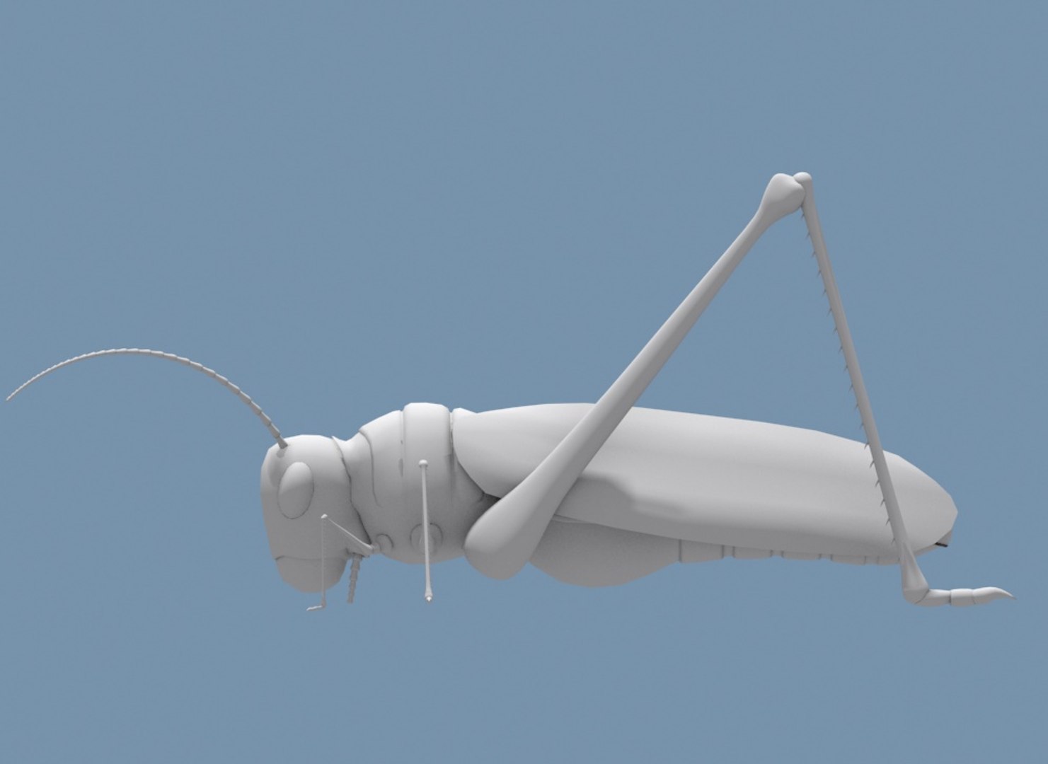 Cricket Model - TurboSquid 1393661