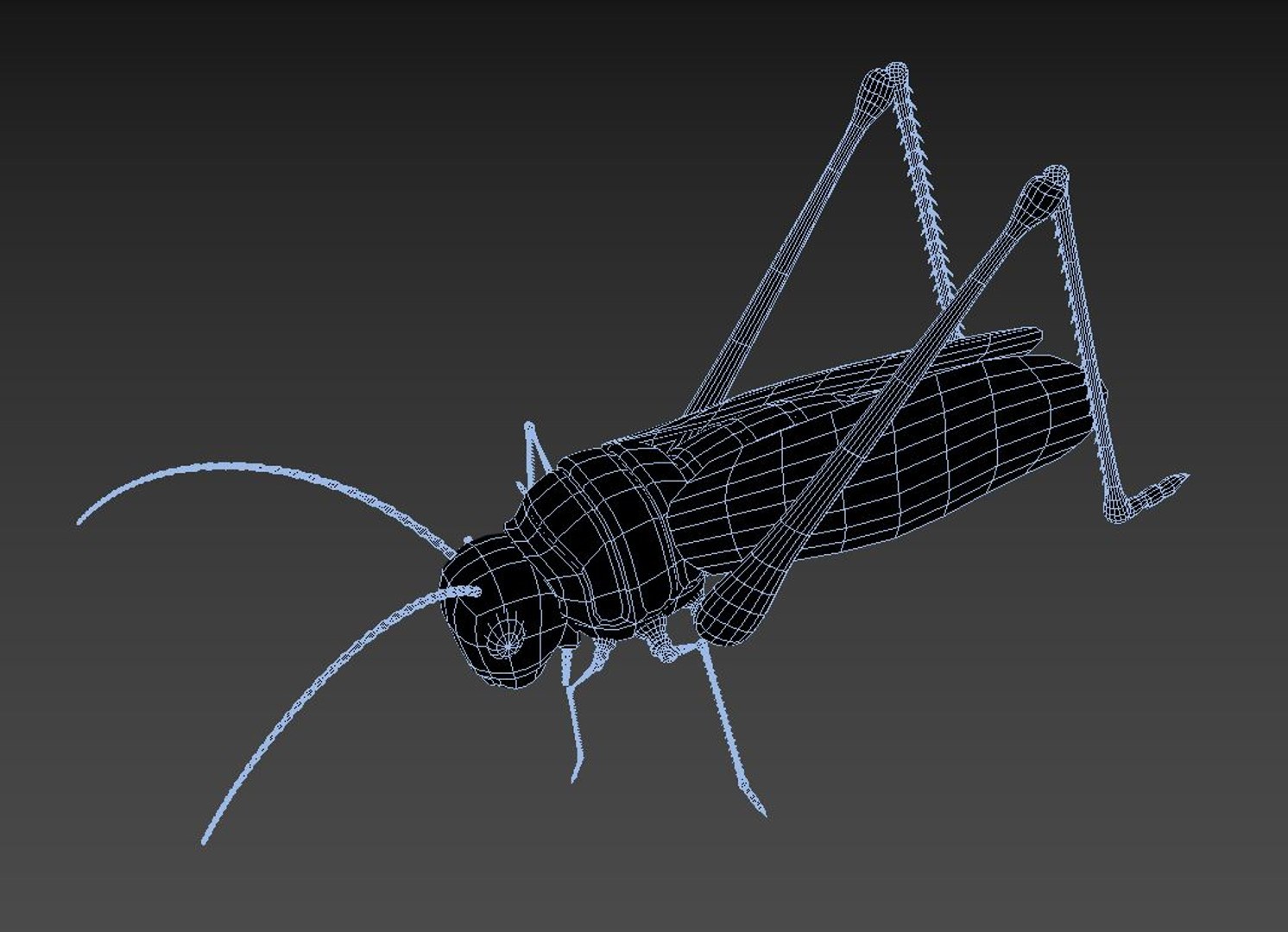 Cricket Model - TurboSquid 1393661