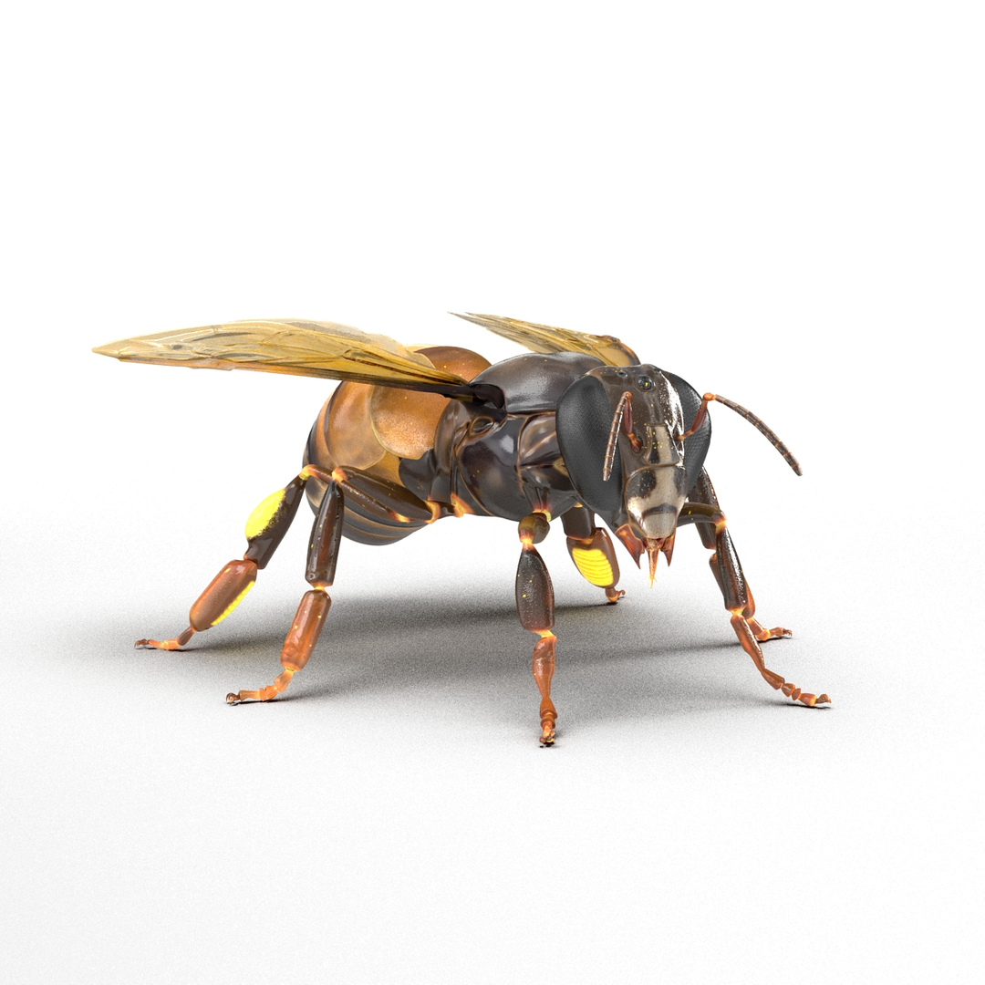 3D insects big 2 rigged model - TurboSquid 1519645