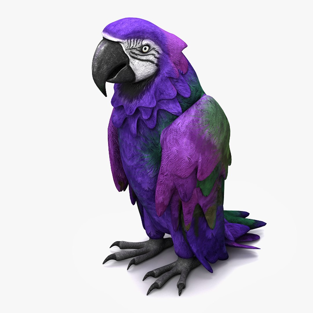 3d parrot species