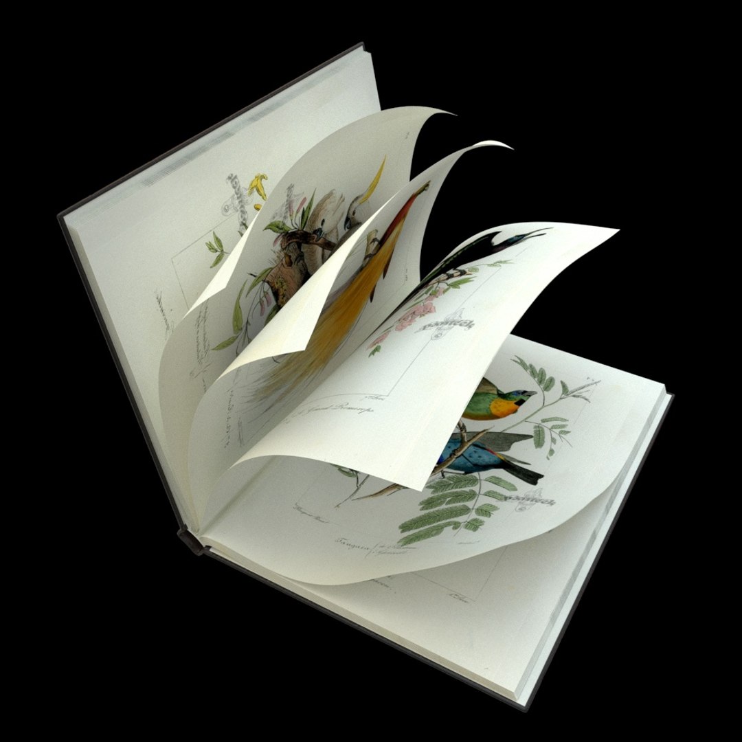 3d Model Book