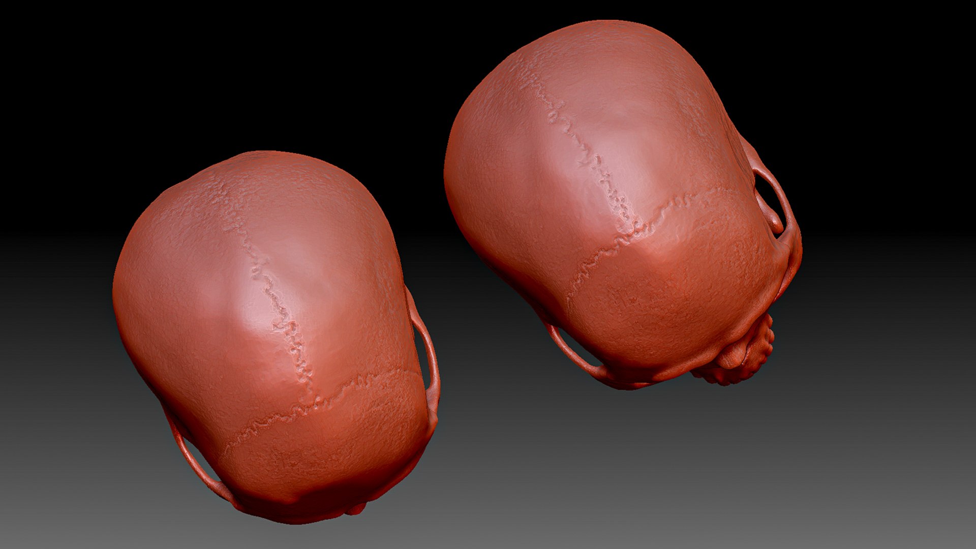 3D Realistic Skull Human Print Model - TurboSquid 1710554