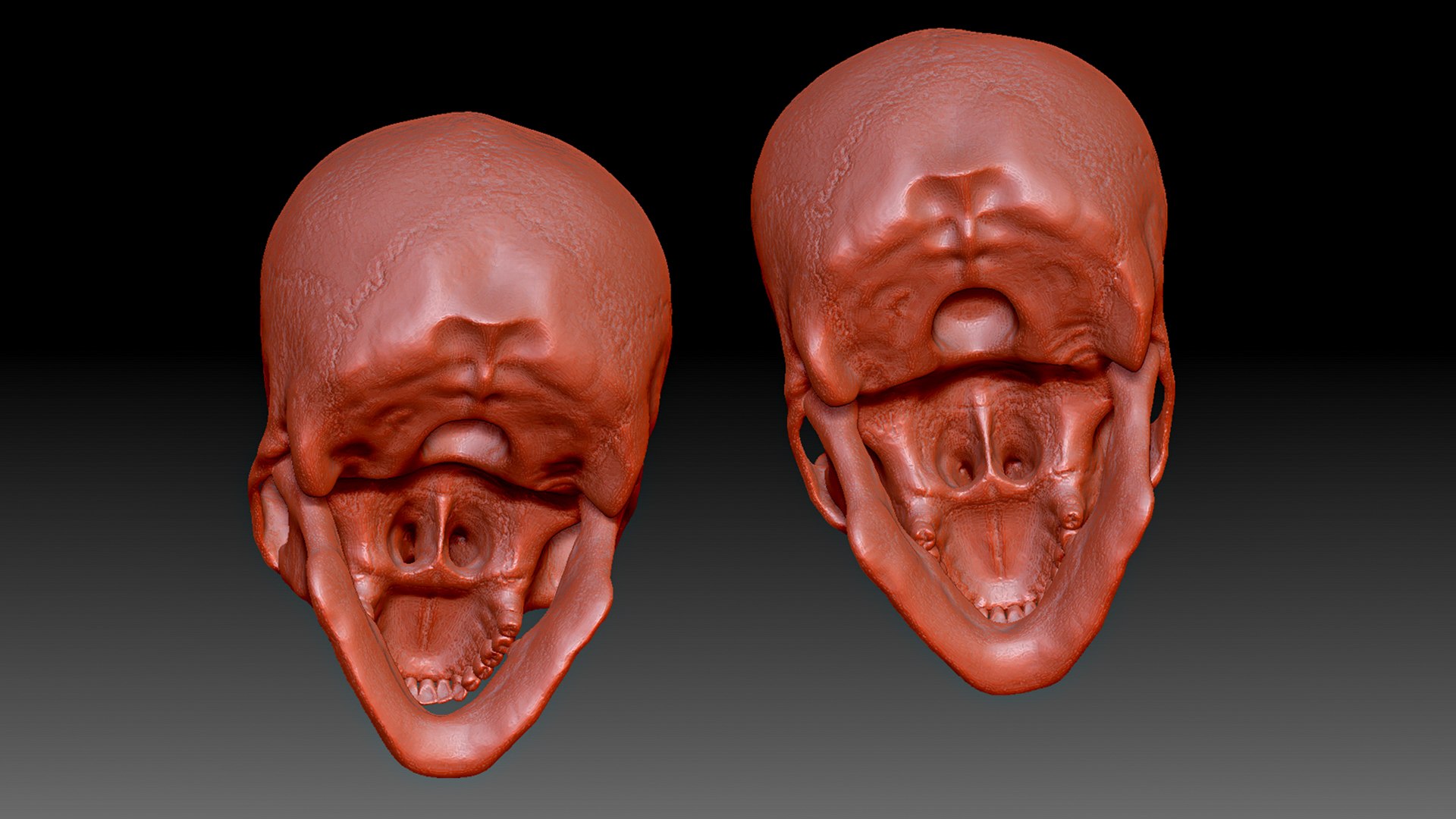 3D Realistic Skull Human Print Model - TurboSquid 1710554