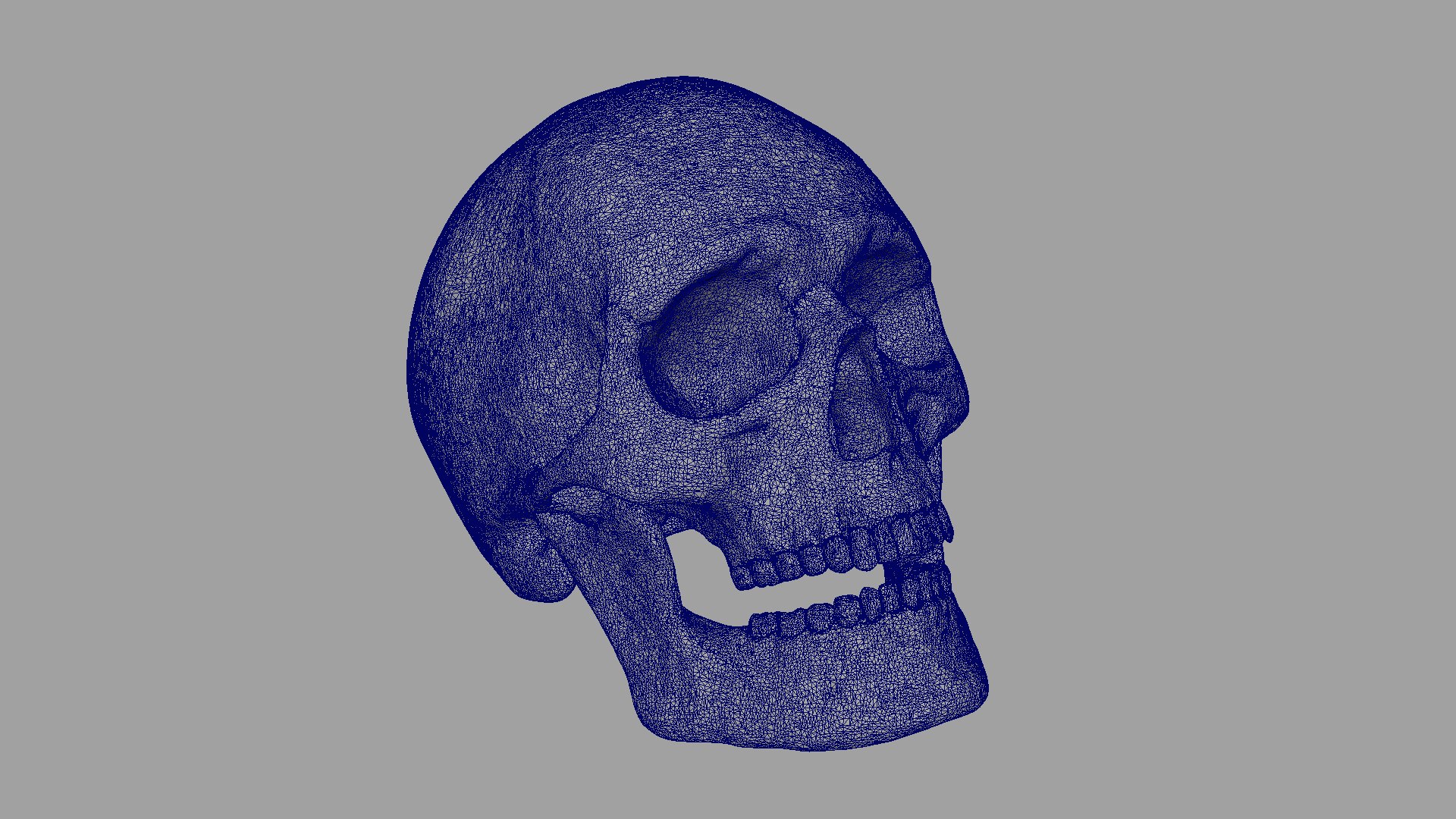 3D Realistic Skull Human Print Model - TurboSquid 1710554