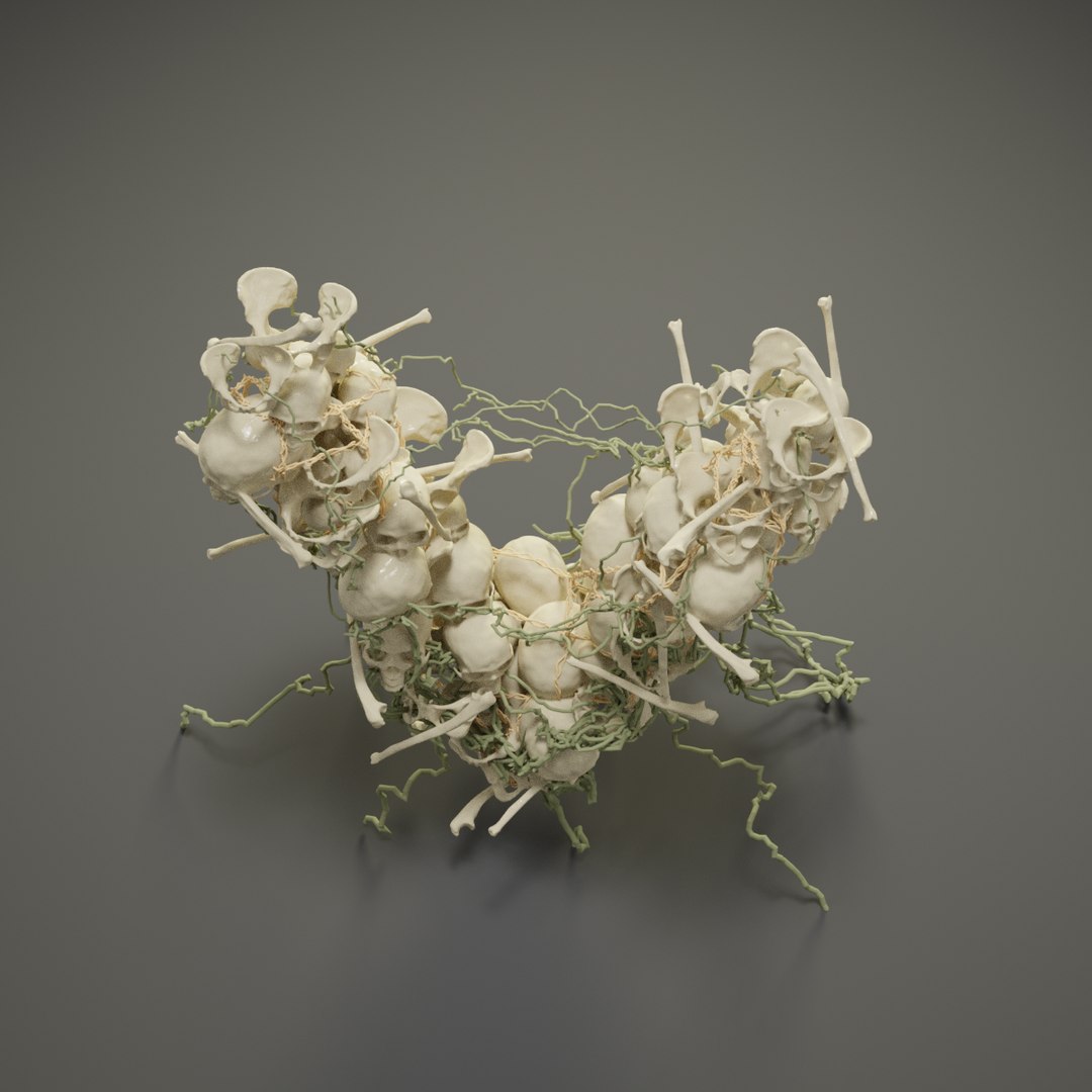 3D Model Letter V Bones Skeleton - TurboSquid 1546310