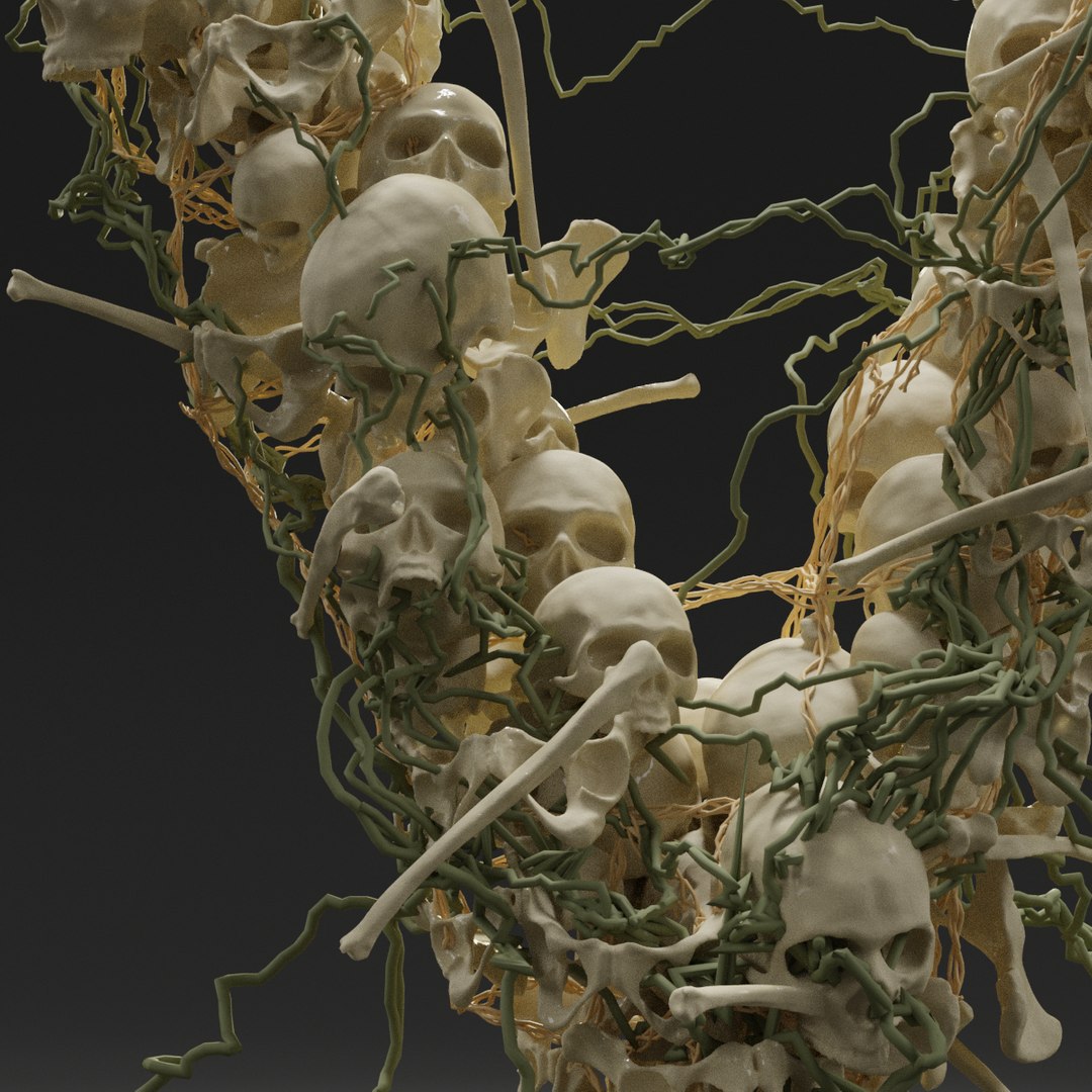 3D Model Letter V Bones Skeleton - TurboSquid 1546310