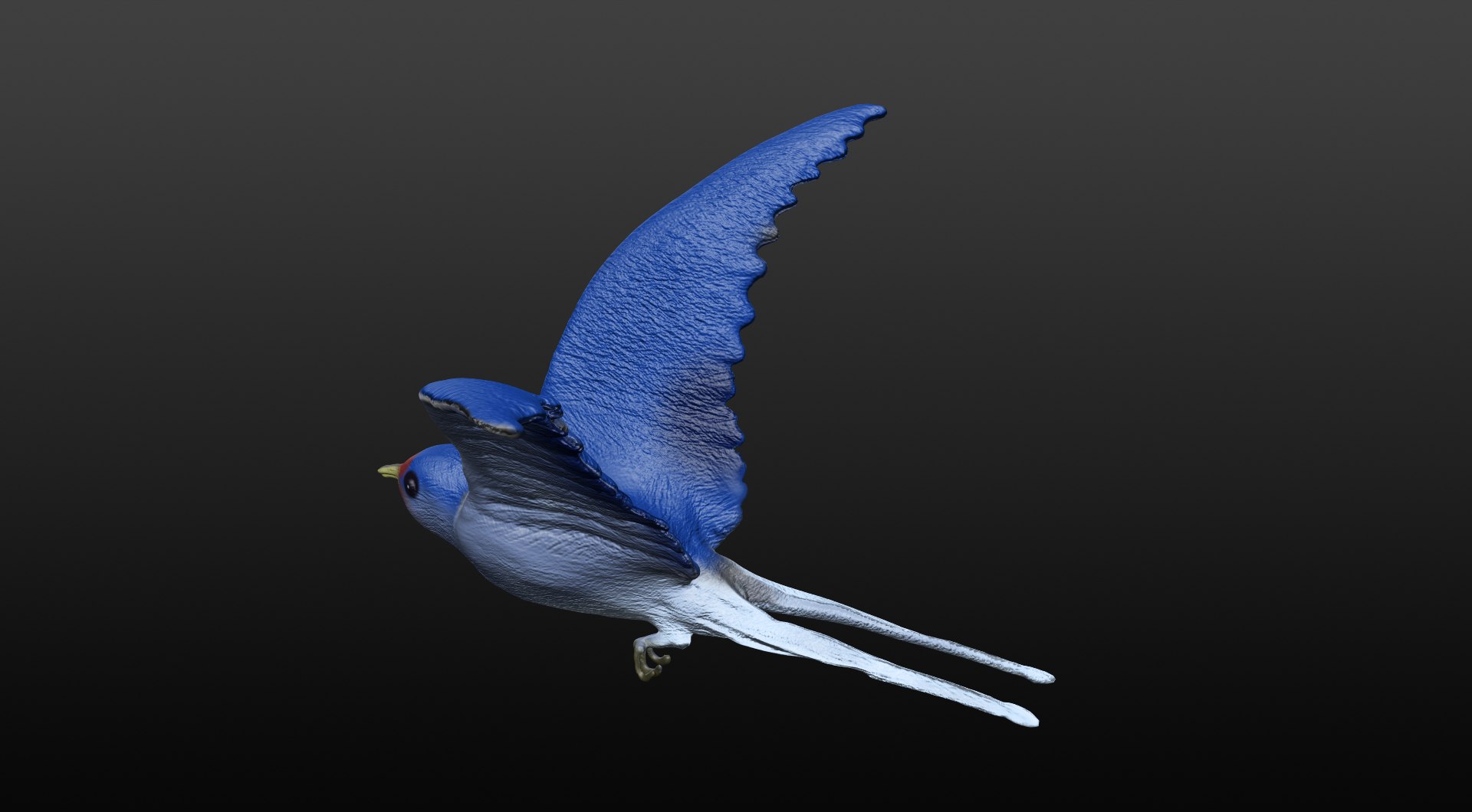 3d Swallow Model