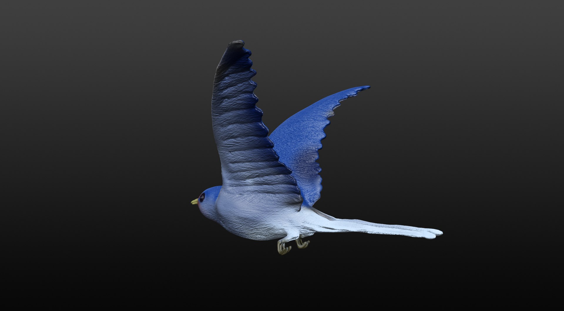 3d Swallow Model