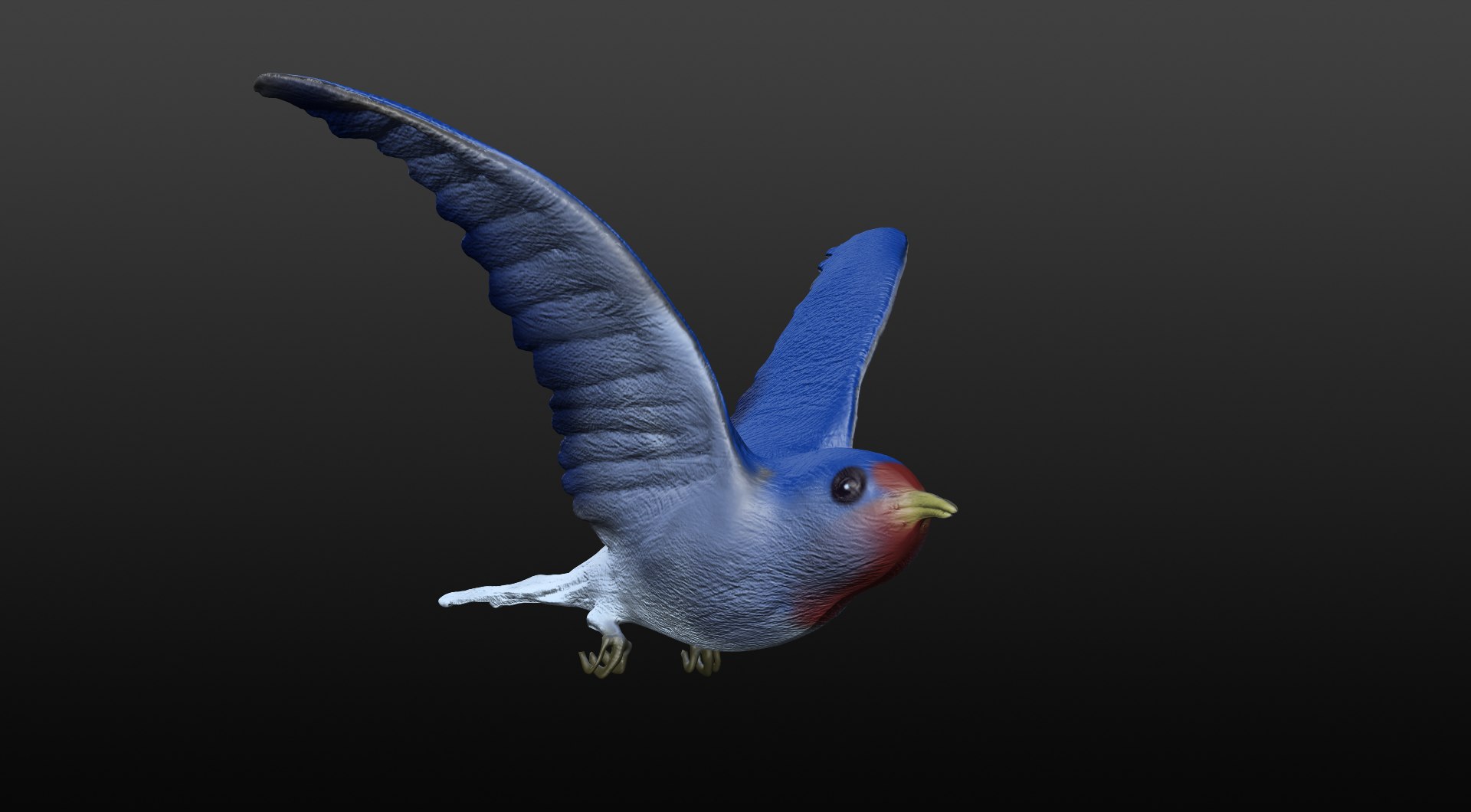 3d Swallow Model