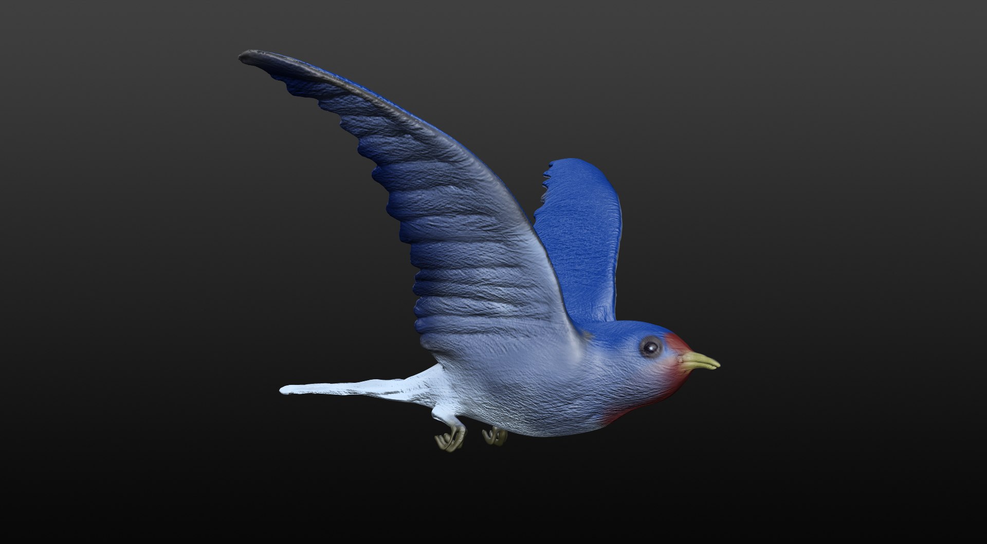 3d Swallow Model