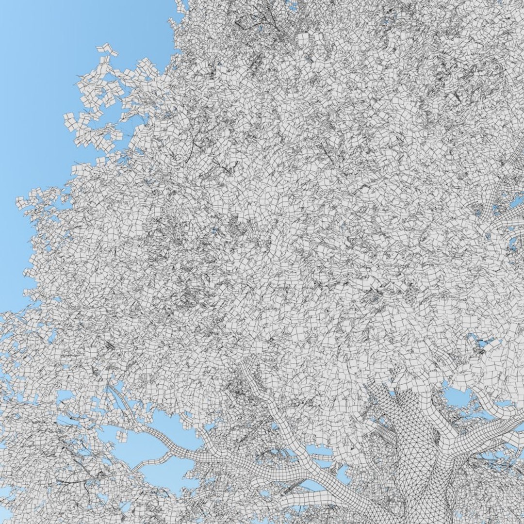 Obj Realistic Maple Tree Autumn