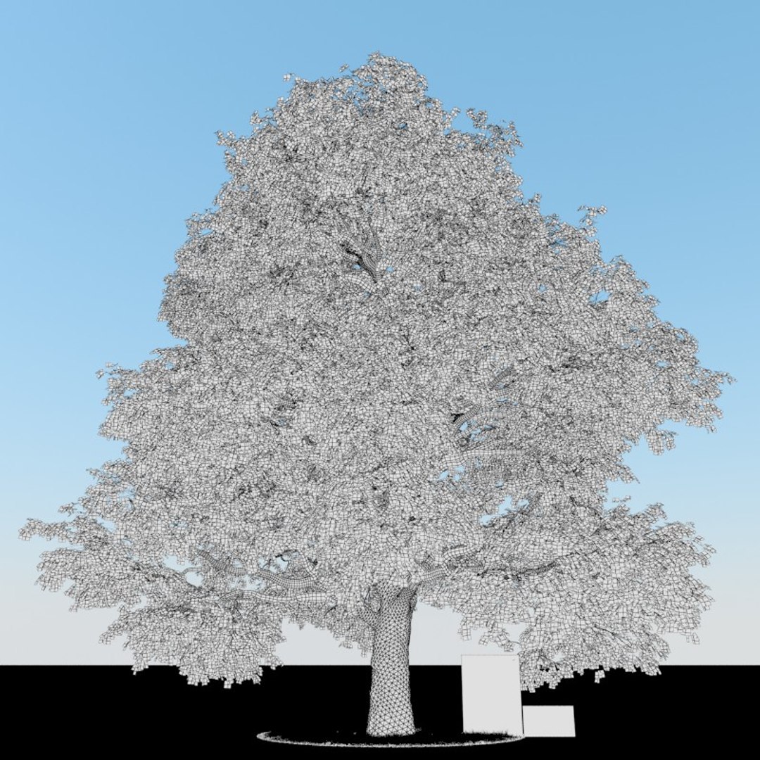 Obj Realistic Maple Tree Autumn