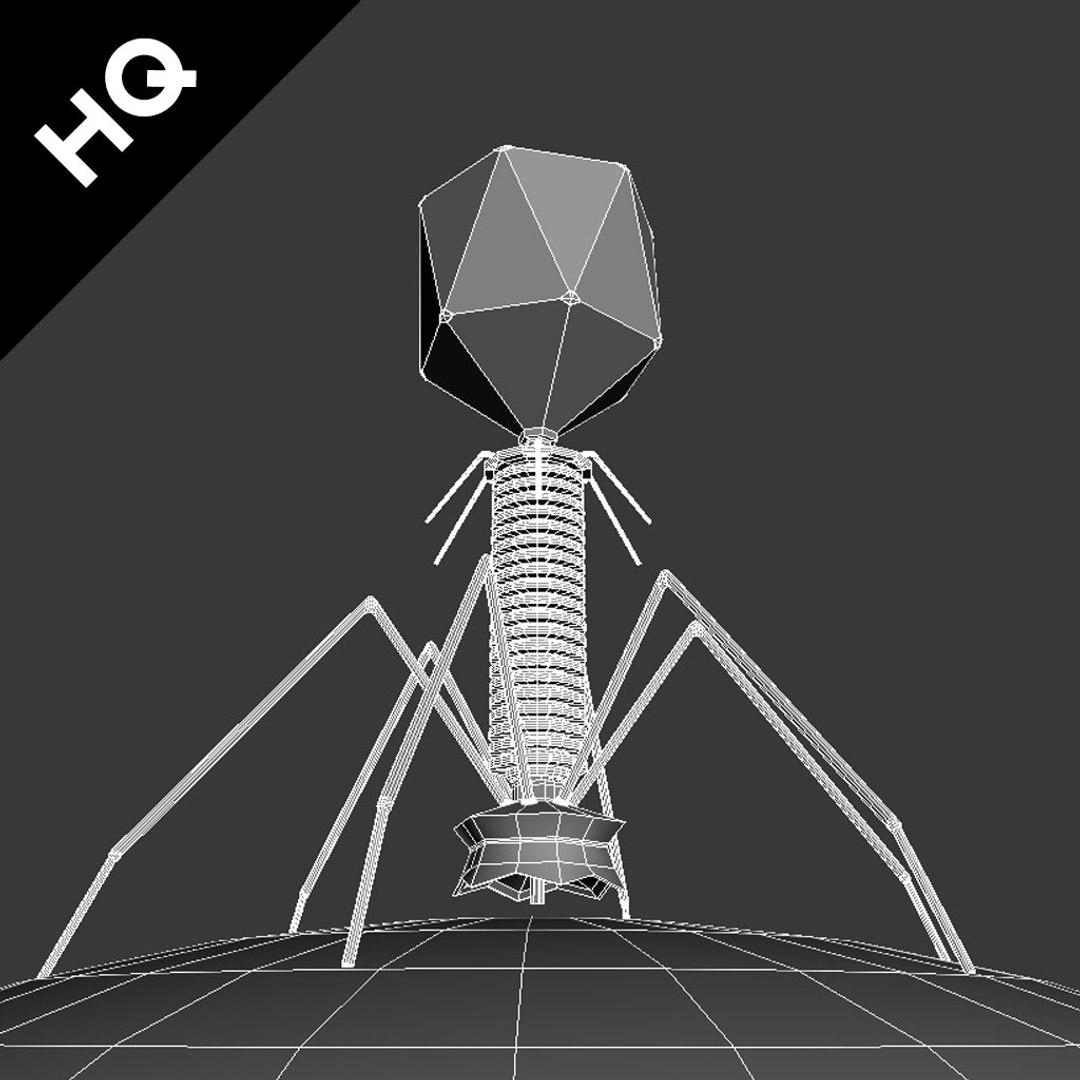 T4 Virus 3d Model