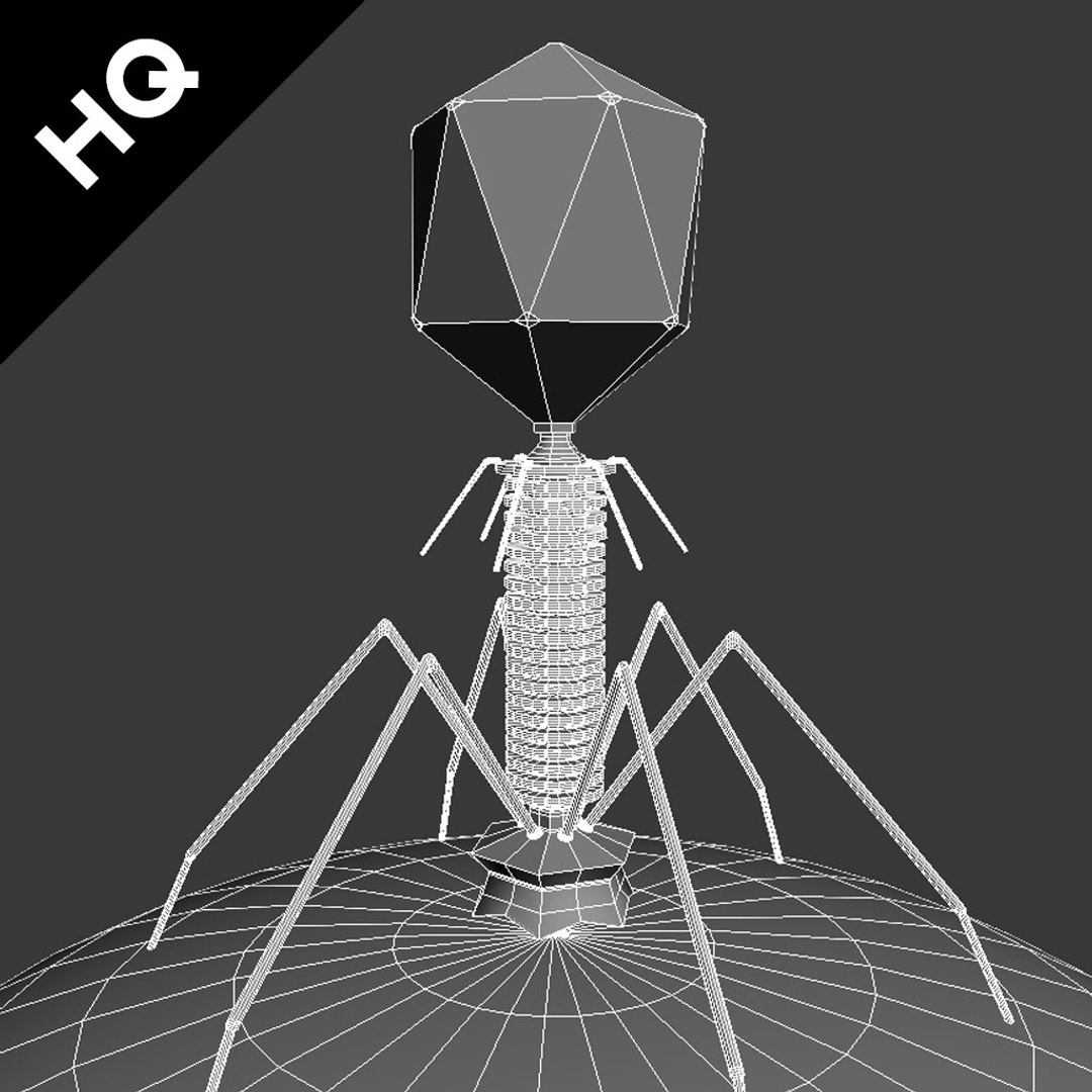 T4 Virus 3d Model