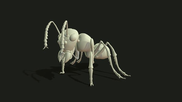 modèle 3D de Fourmi - TurboSquid 1729875