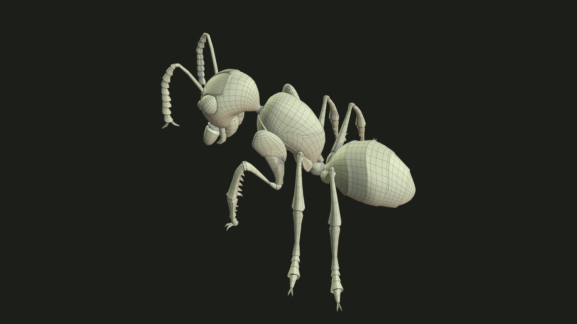 Ant 3dModel 3D model - TurboSquid 1729875