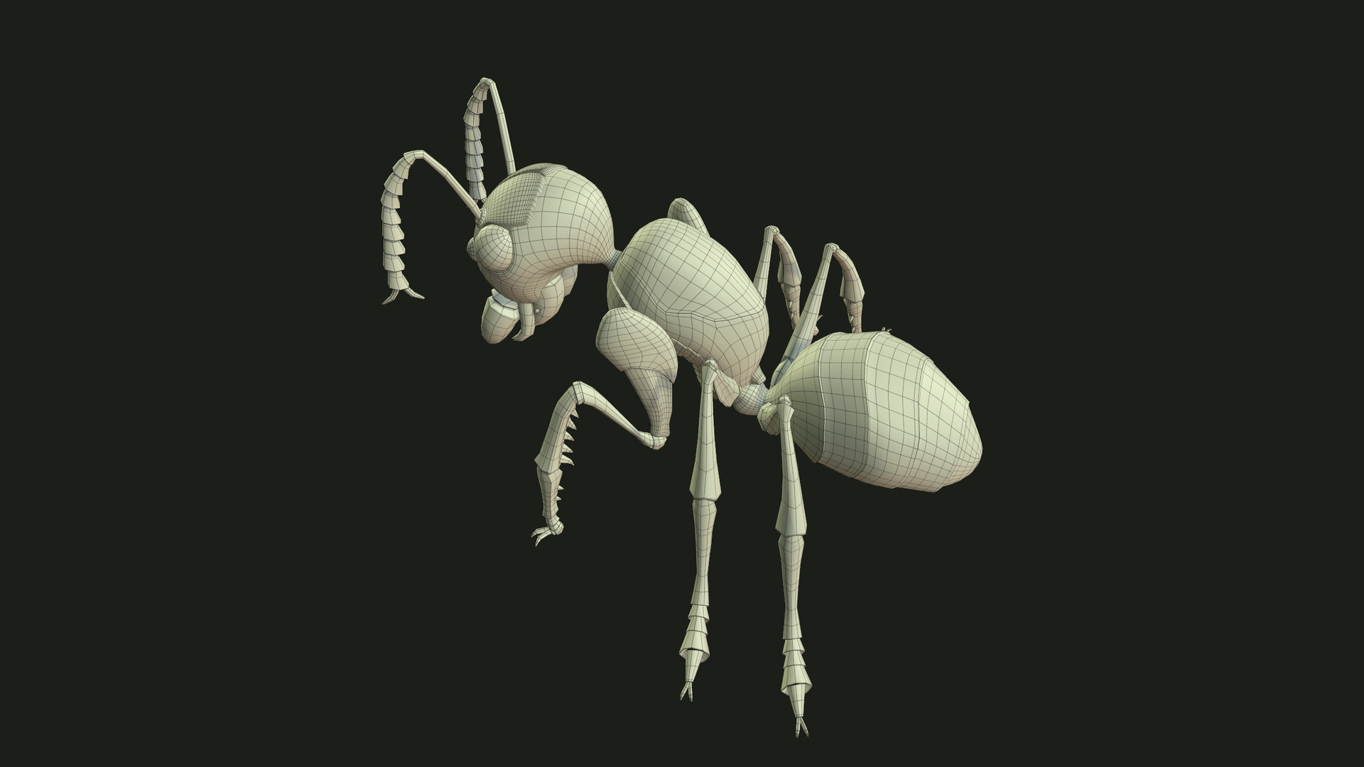 Ant 3dModel 3D model - TurboSquid 1729875