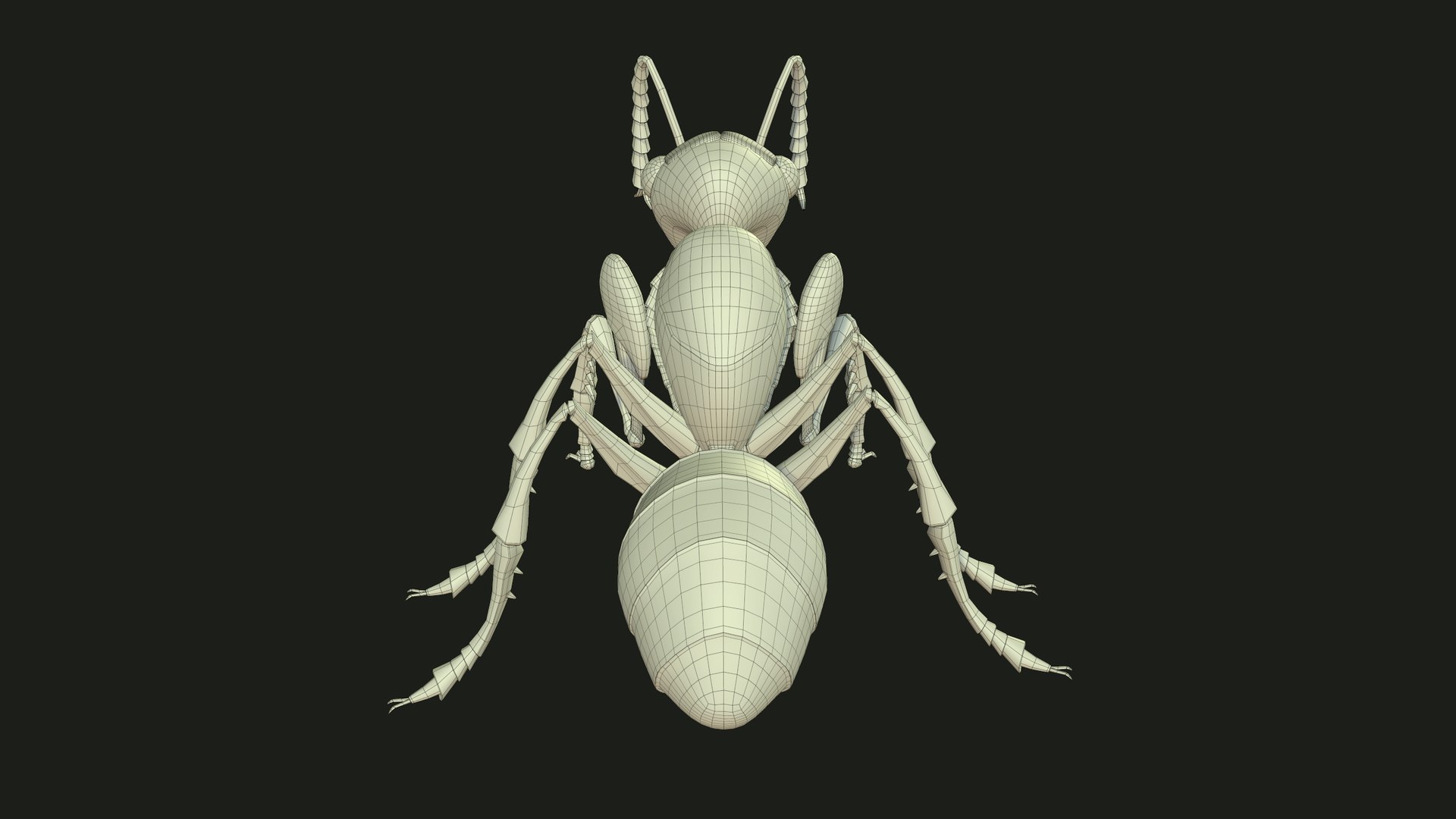 Ant 3dModel 3D model - TurboSquid 1729875