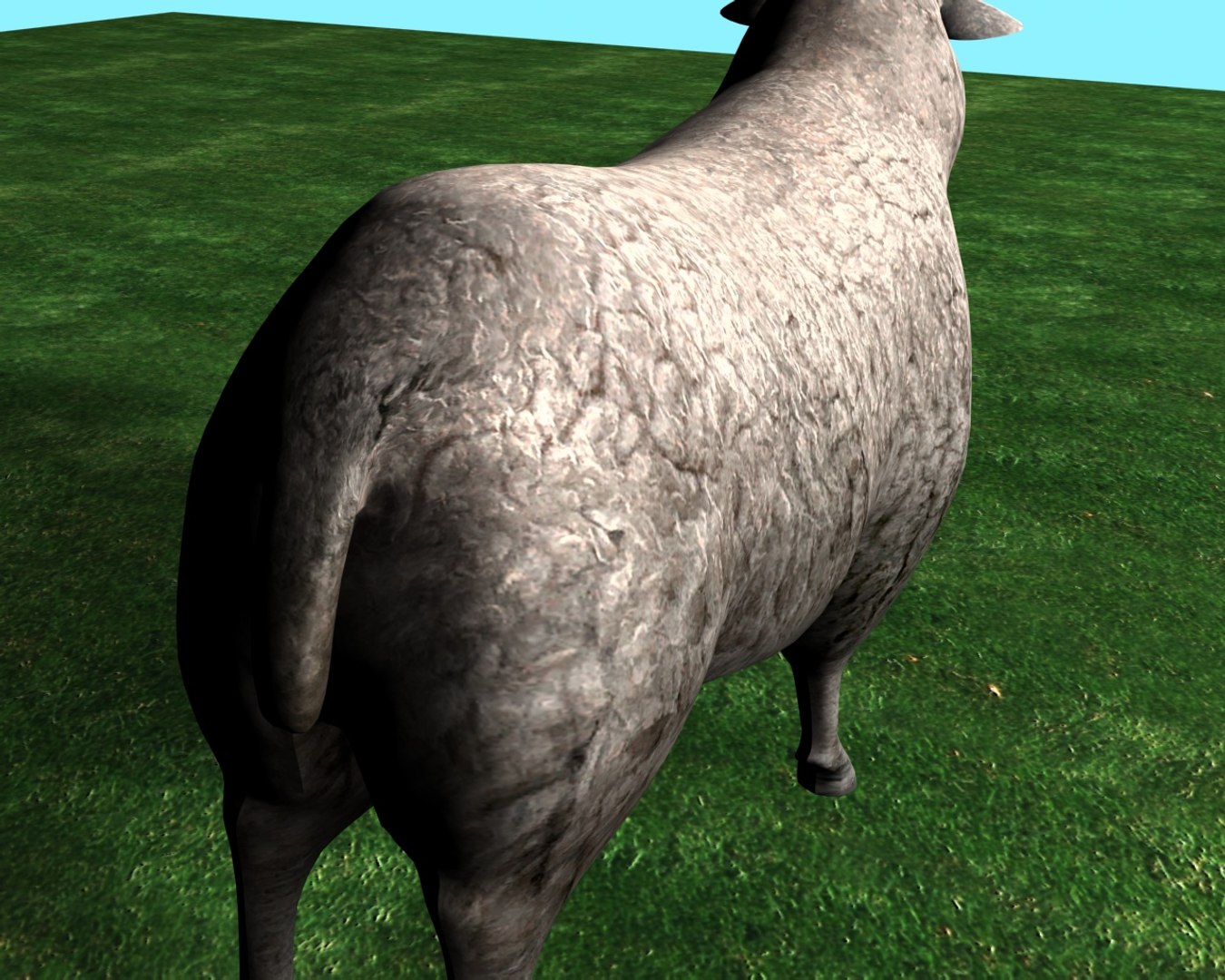 3d Model Sheep