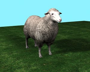 3d sheep cow bull model