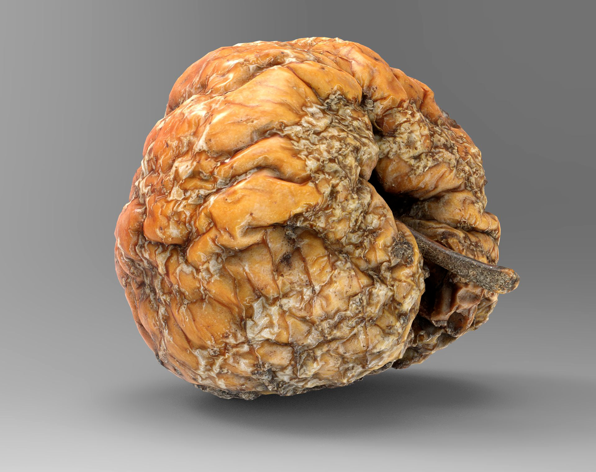 Rotten apple 3D - TurboSquid 1948829