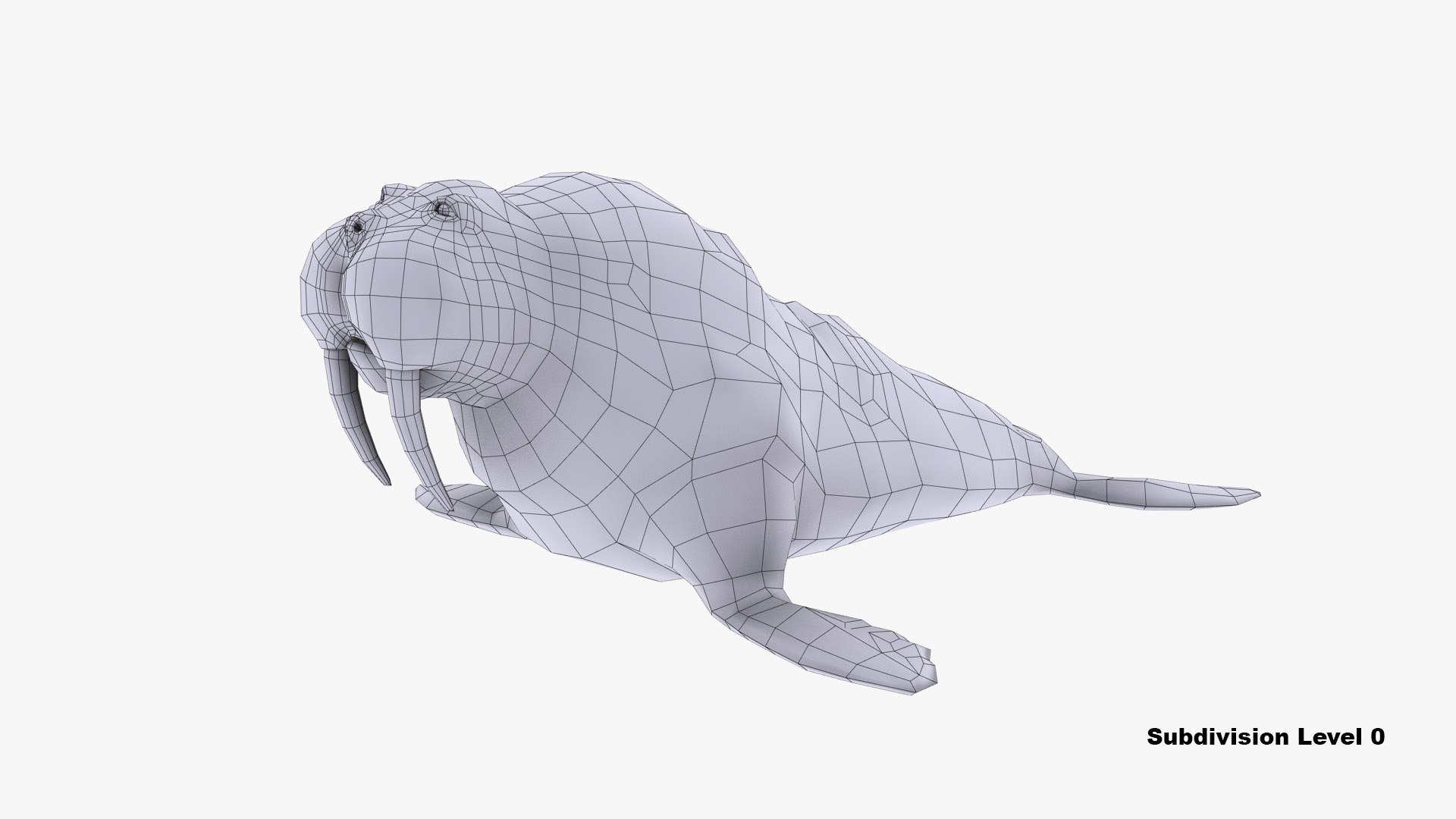 Walrus 3ds