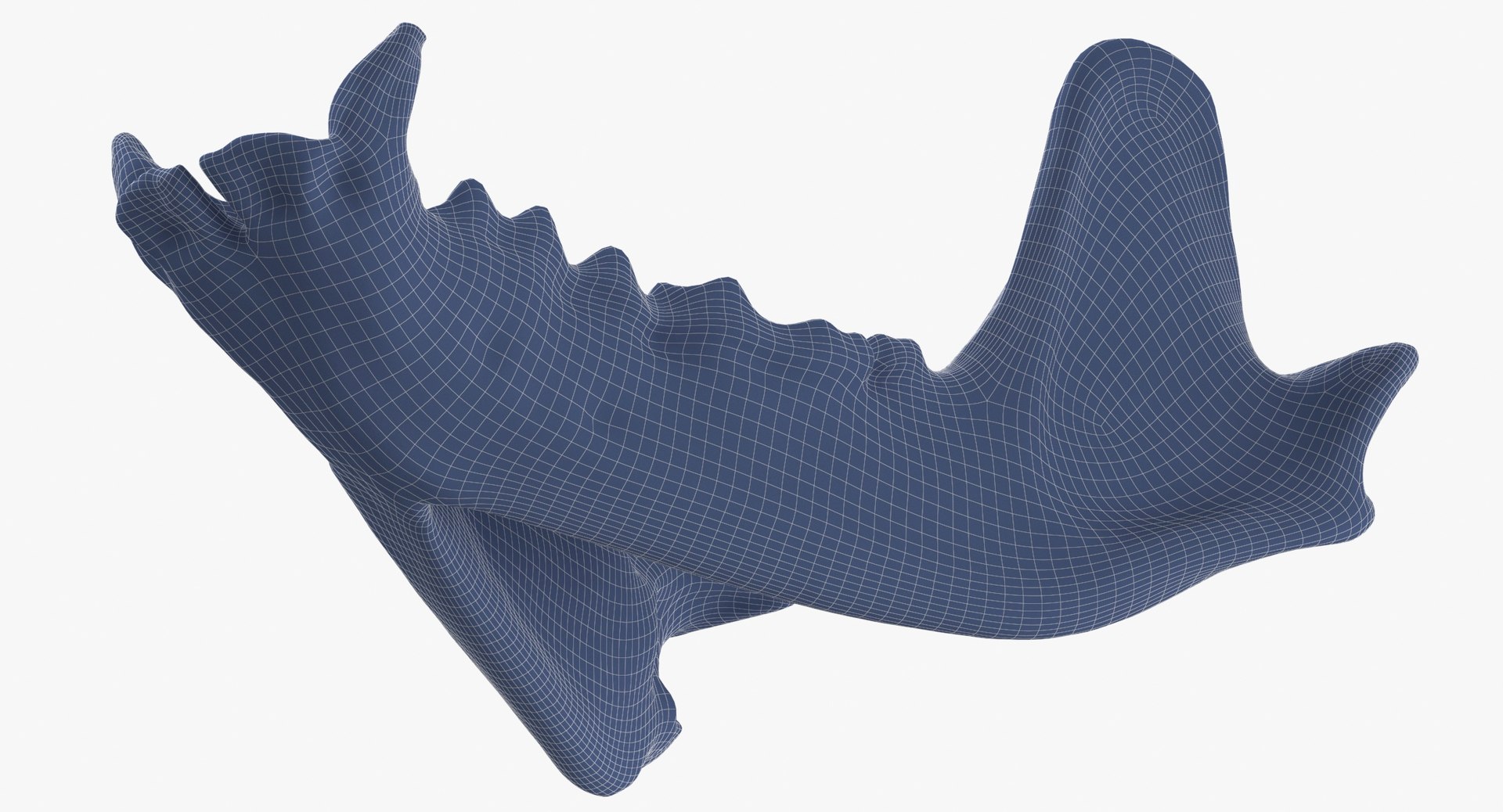 Real European Badger ( Meles Meles ) Jaw 01 L 3D Model - TurboSquid 1817841