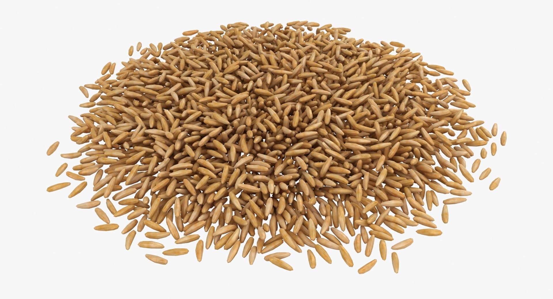 3D Model Realistic Brown Rice 2 - TurboSquid 1170695