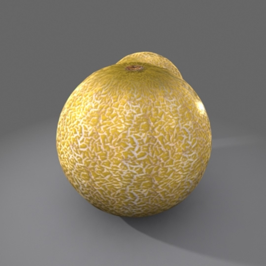 3d model of melon fruit