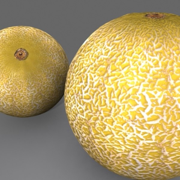 3d model of melon fruit