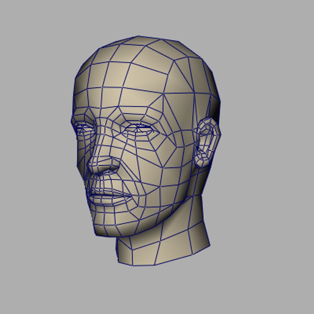 Face Templete 3d Model