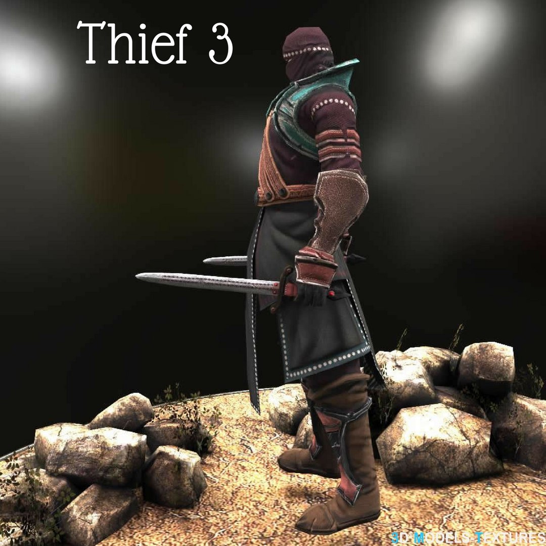 Thief 3D Model - TurboSquid 1209975