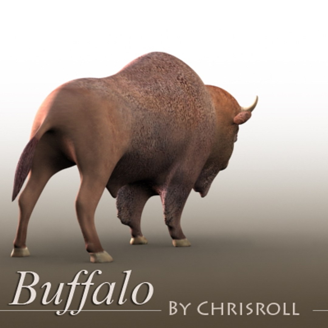 3d Buffalo Bison Model