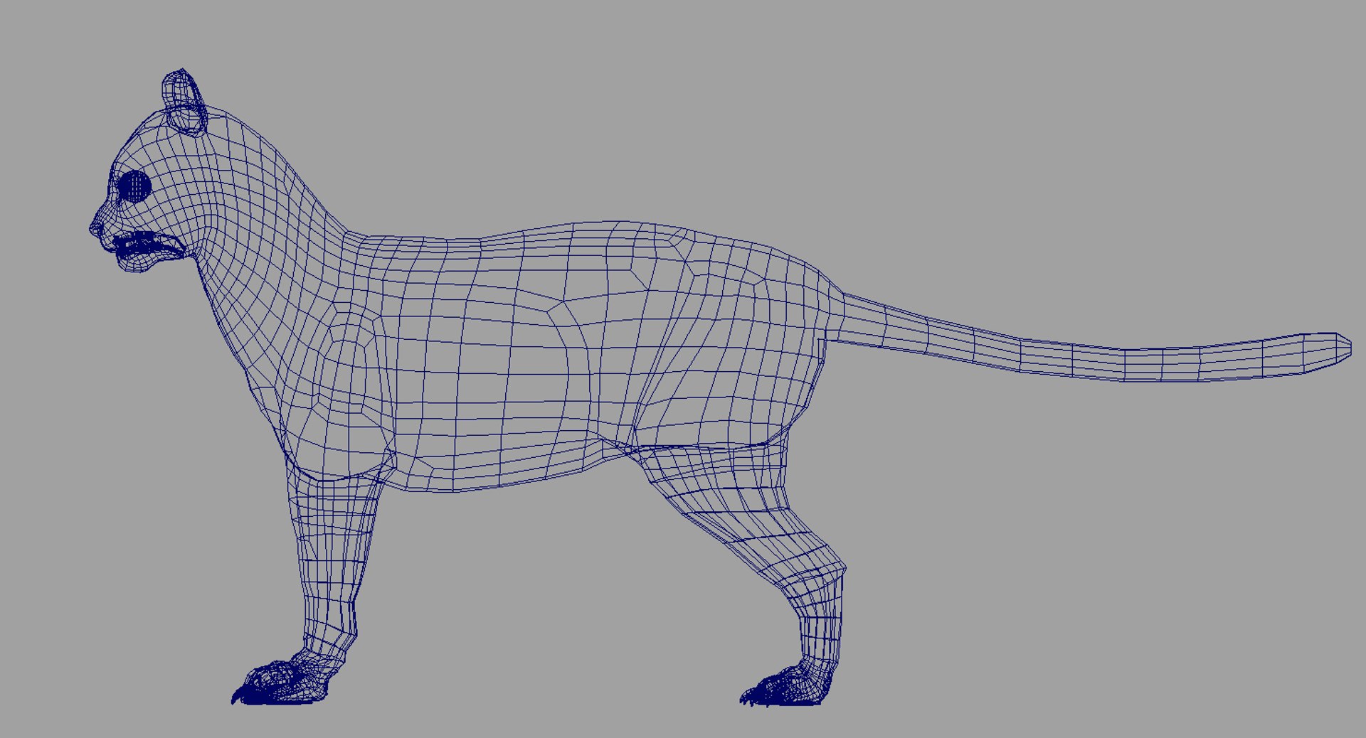 3D cat model - TurboSquid 1560182