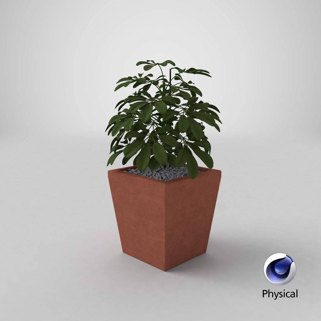 3D plant design modeled - TurboSquid 1499602